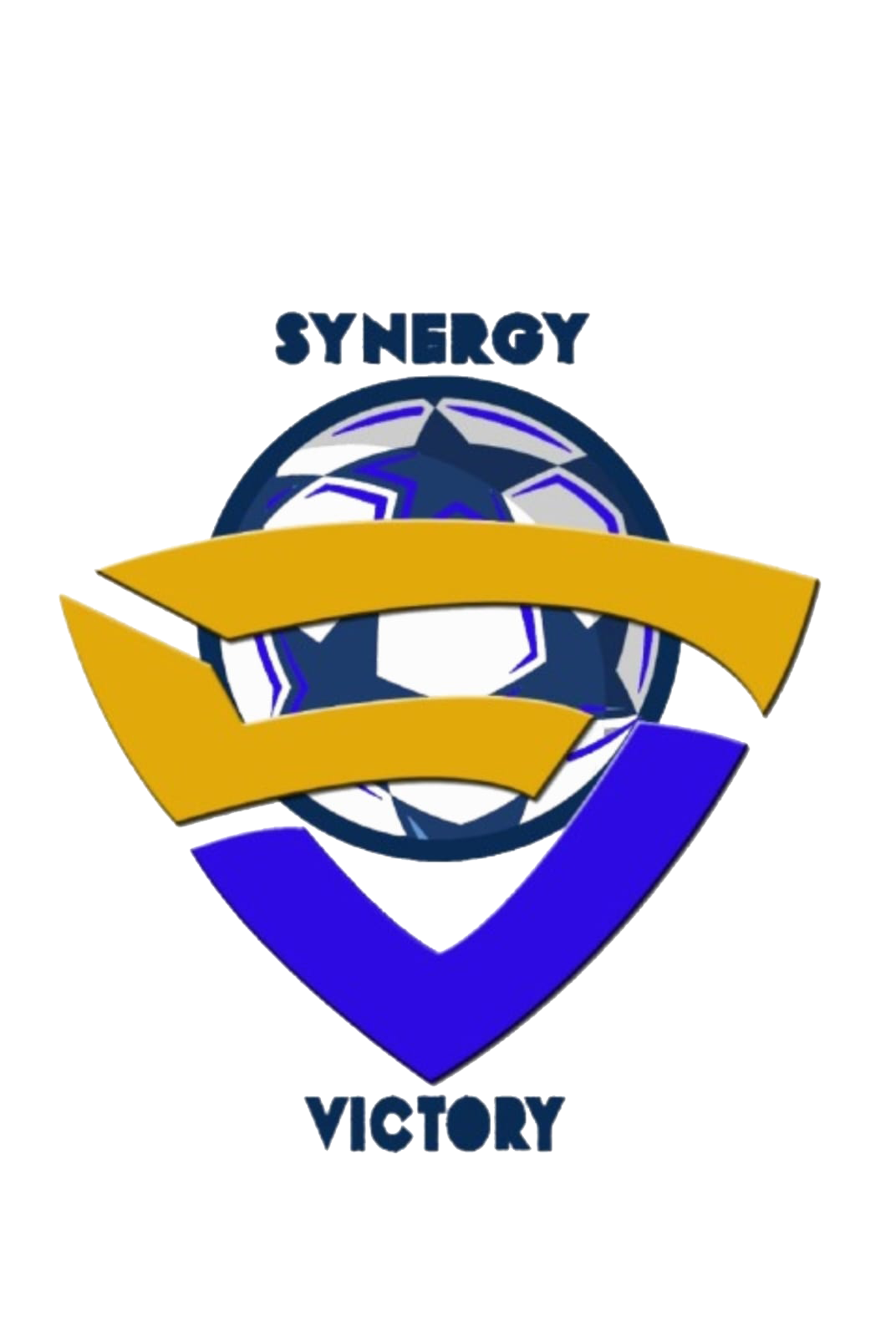 SYNERGY VICTORY